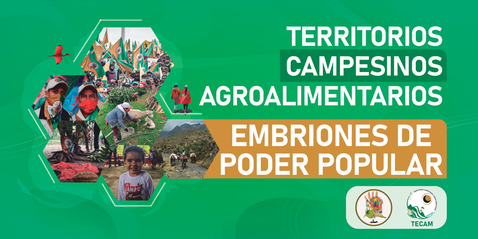 Pasos para la formalización de los TECAM ante la Agencia Nacional de ...